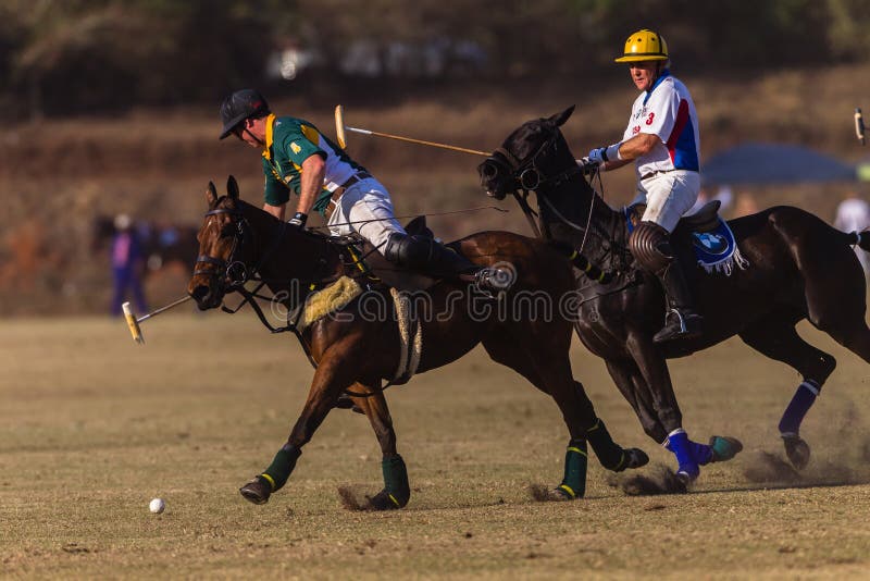 Polo Riders Horses Play Action Imagen de archivo editorial - Imagen de ...