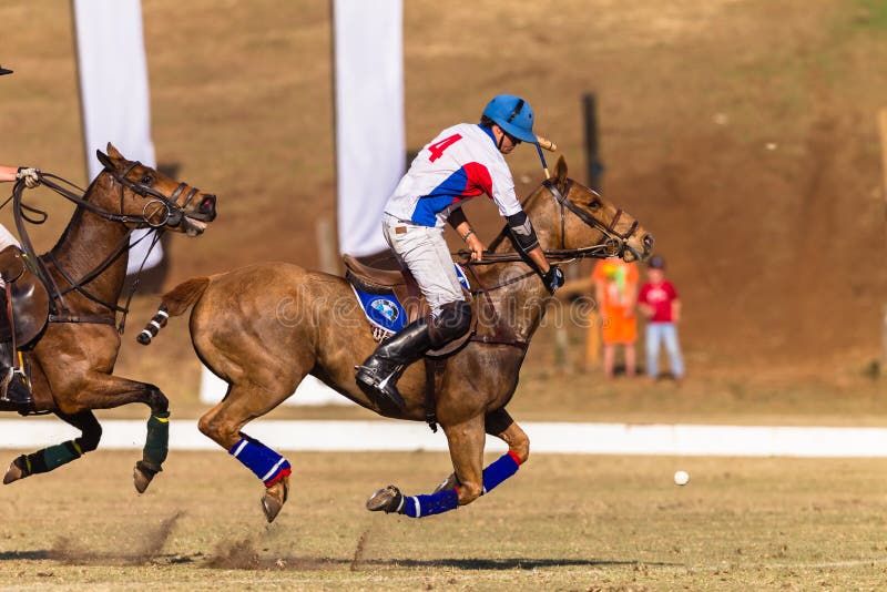 Polo Riders Horses Play Action Redaktionelles Stockfoto - Bild von ...