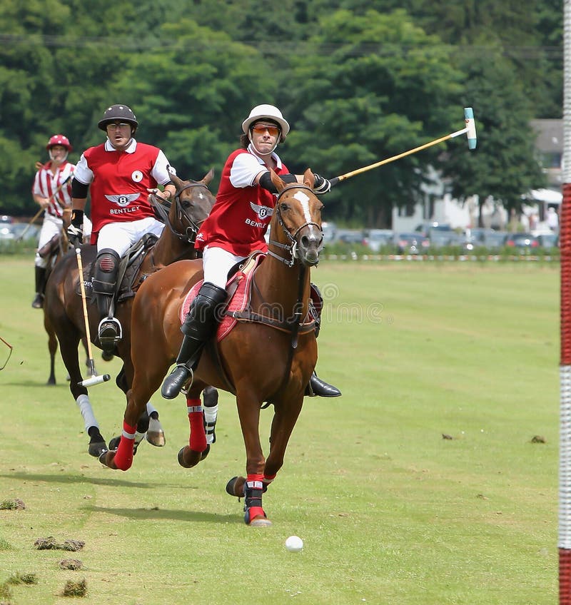 Polo Sports editorial image. Image of pack, hooves, field - 25641645