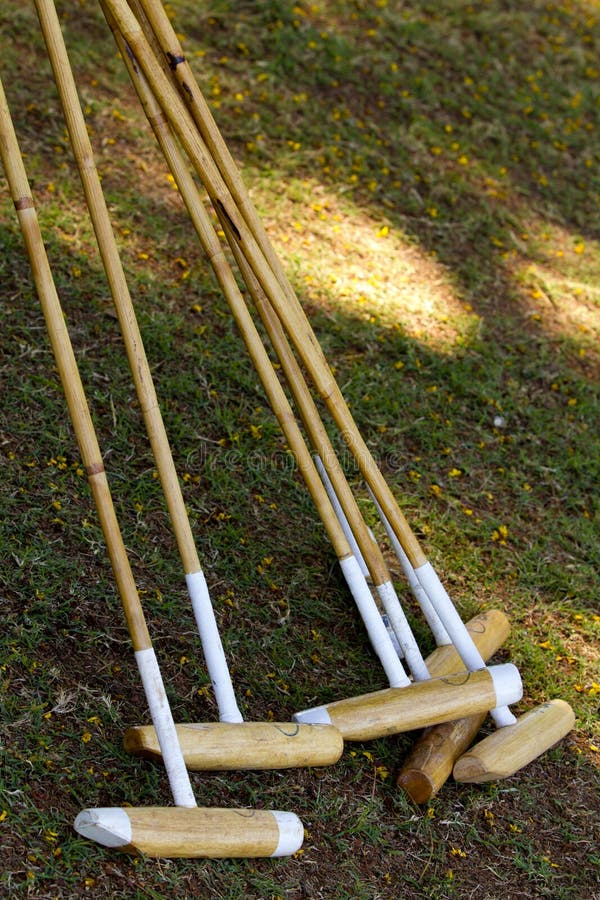 Archery arrows stock photo. Image of arrows, brindled - 9500520