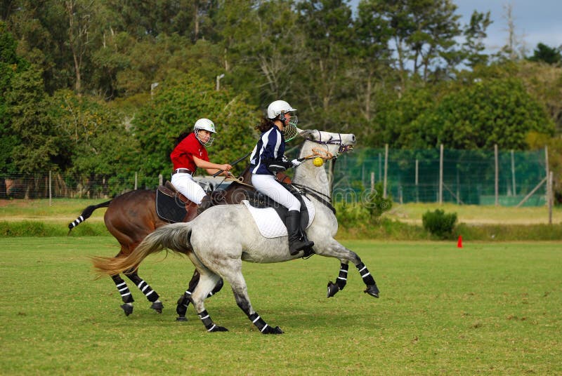 Polocrosse Players on Their Horses Editorial Stock Photo - Image of ...