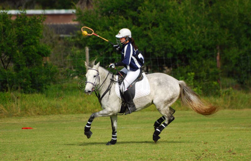 Polocrosse Player on Horse, Back View Editorial Stock Image - Image of ...