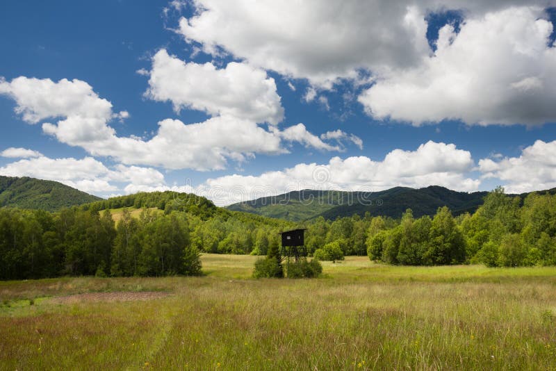 Poloniny, Slovakia stock image. Image of poloniny, nature - 49627667
