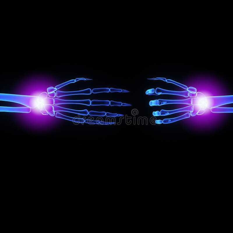 Middenhandsbeentje Stock Illustrations, Vectors, & Clipart – (527 Stock ...