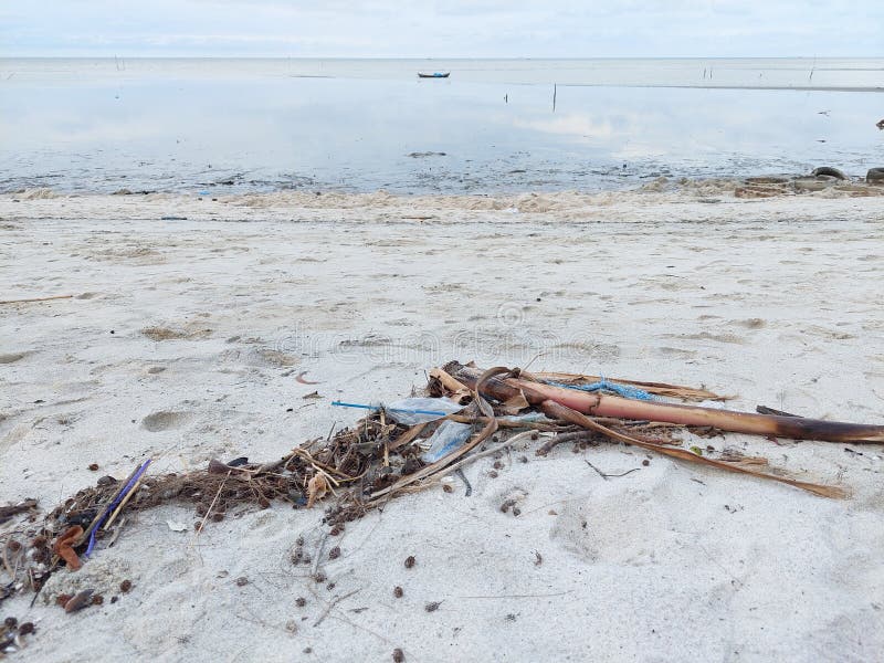 Poluted Beach with Plastic Waste, Twig Stranded on the Beach ...