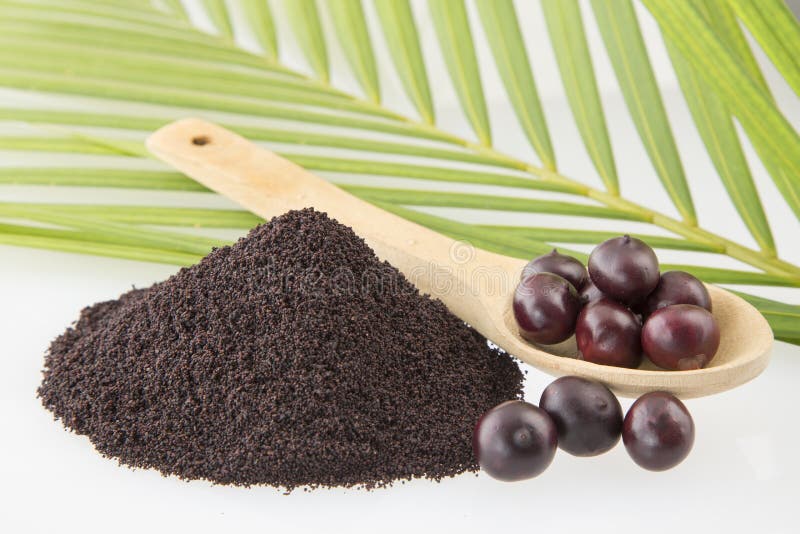 Polvo De Acai - Oleracea Del Euterpe Foto de archivo - Imagen de ...