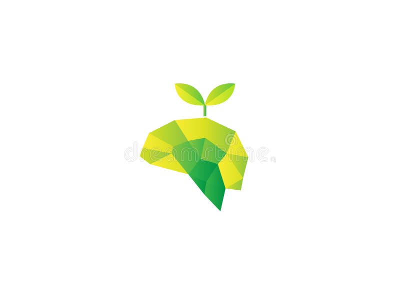 Poly Brain with Leaf for Bio Nature Logo Design Illustration Stock ...