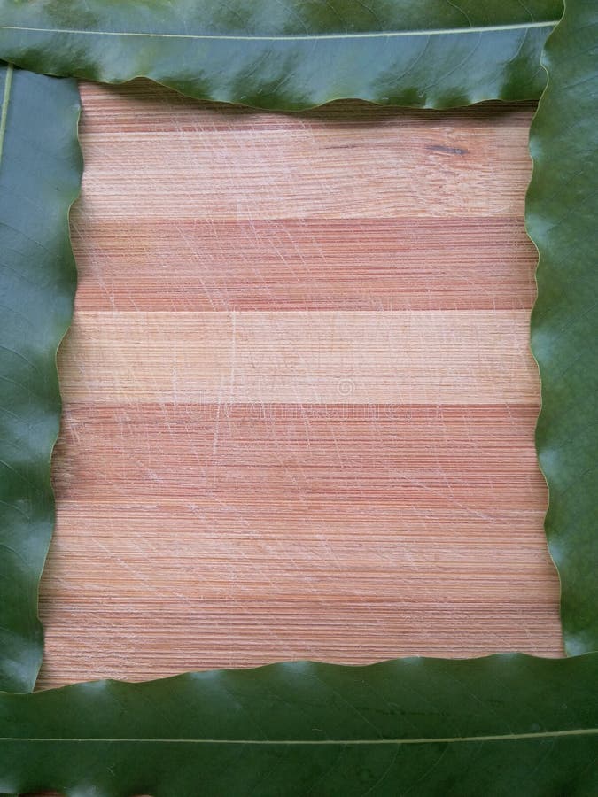 Asopalav Stock Illustrations – 2 Asopalav Stock Illustrations, Vectors ...