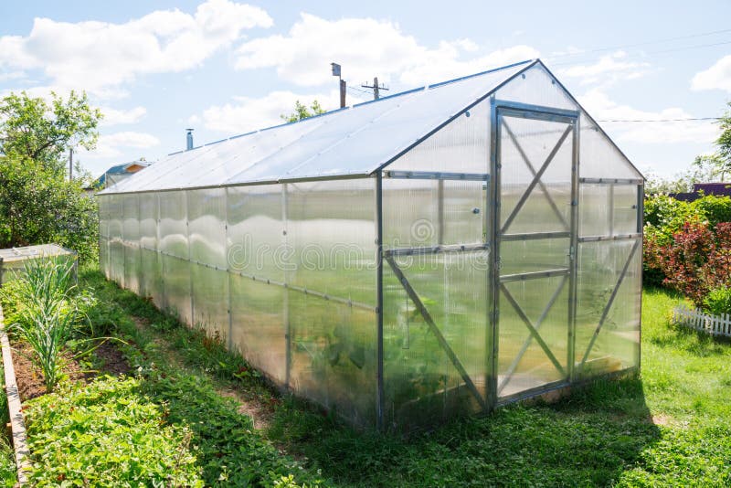 Polycarbonate Greenhouse in the Garden Stock Photo - Image of outdoor ...