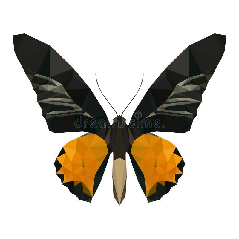 Polygon Butterfly, Poly Low Animal, Polygonal Geometric Triangle Stock ...