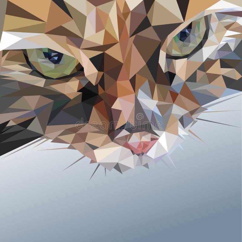 Polygon cat stock vector. Illustration of decorative - 74605003