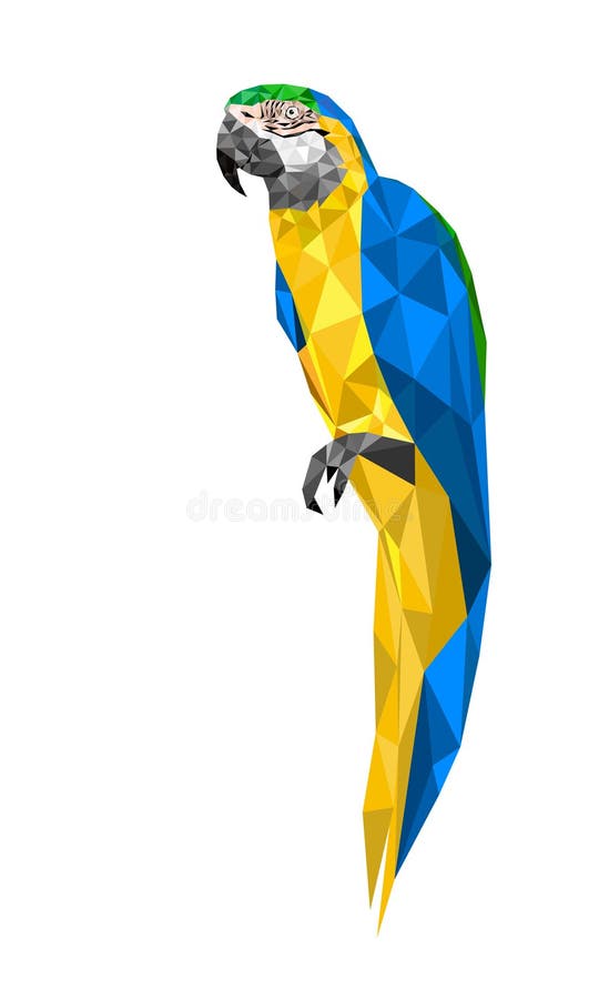 Polygon Drawing Macaw Parrot on a Branch with Isolated White Background ...