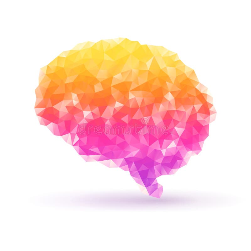 Polygon Human Brain on White Background with Stock Vector ...
