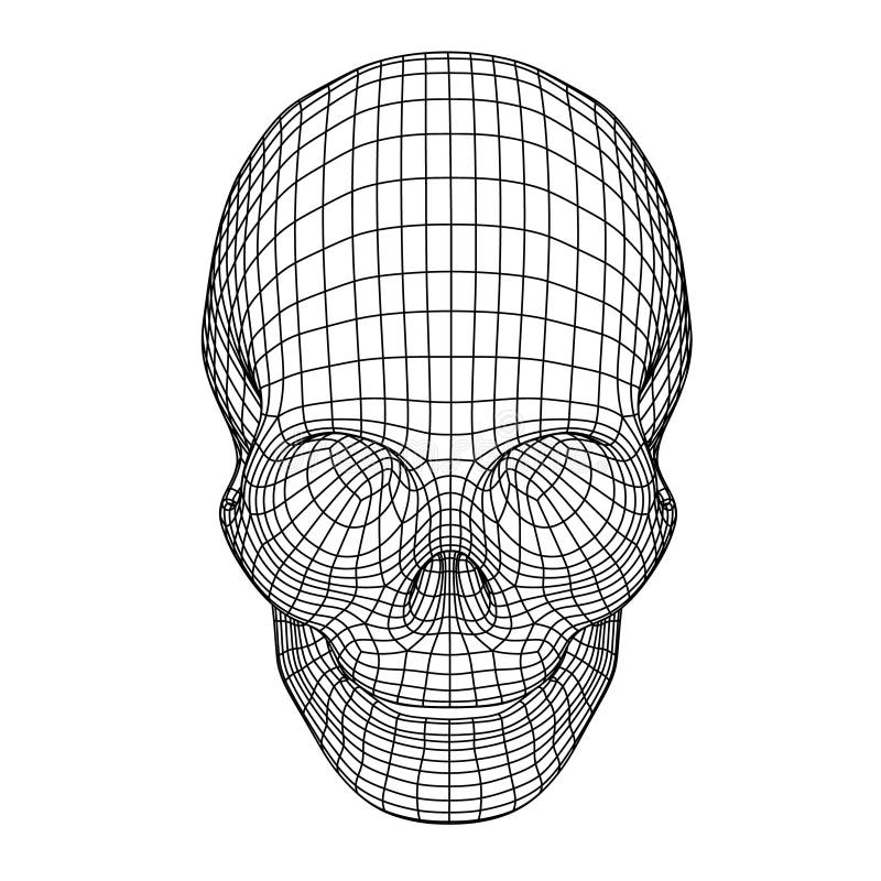 Wireframe Human Skull, Front View Stock Vector - Illustration of front ...