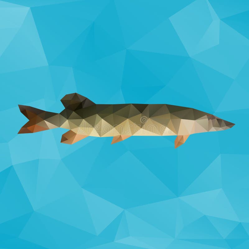 Polygon pike stock vector. Illustration of wild, design - 44621782