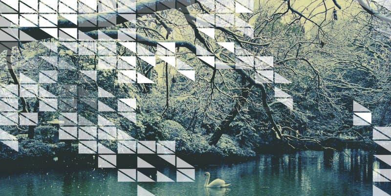 Polygon Shape Mosaic Design Abstract Transparent Concept Stock Image ...