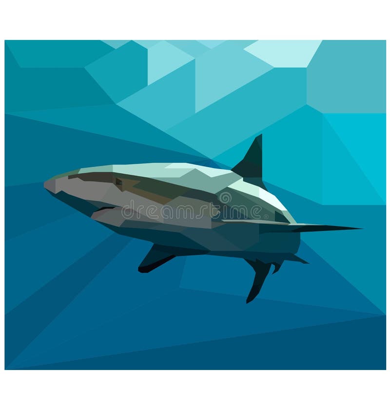 Shark low polygon stock vector. Illustration of symbol - 76986002