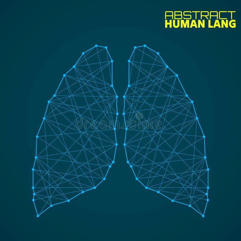 Polygonal Abstract Lung with Connected Lines Stock Vector ...