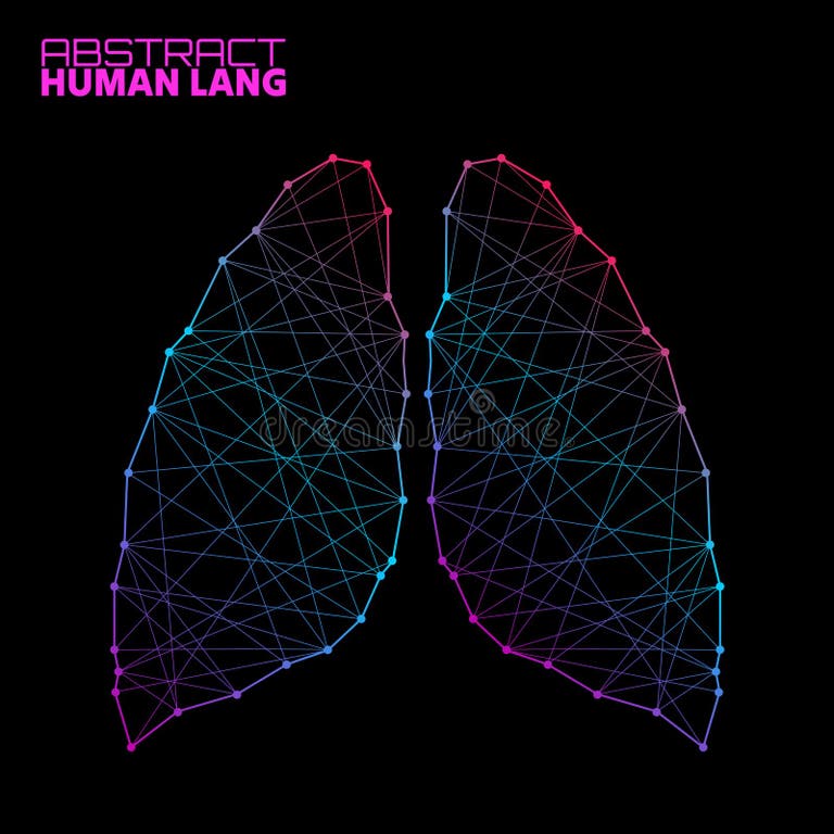 Polygonal Abstract Lung with Connected Lines Stock Vector ...
