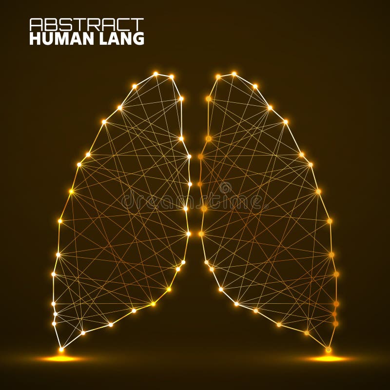 Polygonal Abstract Lung with Connected Lines Stock Vector ...