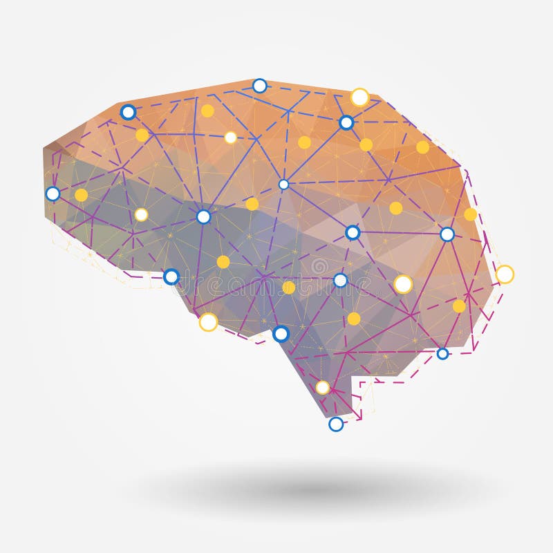 Polygonal brain stock vector. Illustration of color, concentration ...