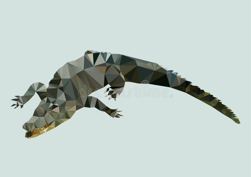 Polygonal Crocodile, Poly Low Animal, Polygon Geometric Reptile Stock ...