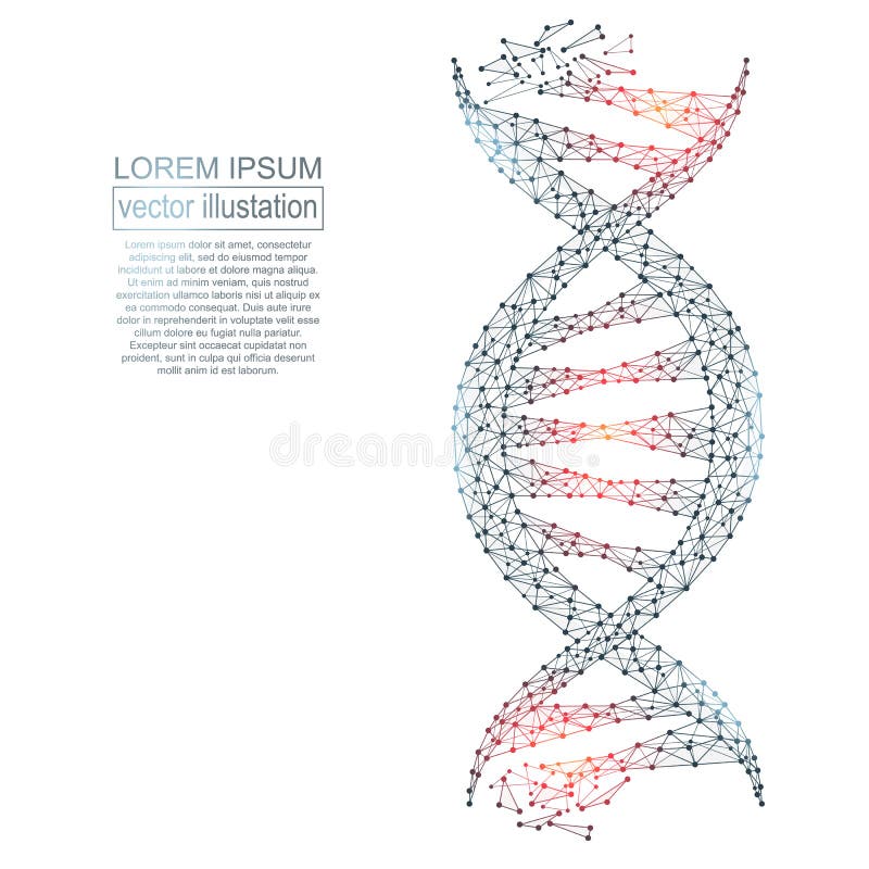 Polygonal DNA Abstract Image. Low Poly Wireframe Stock Vector ...