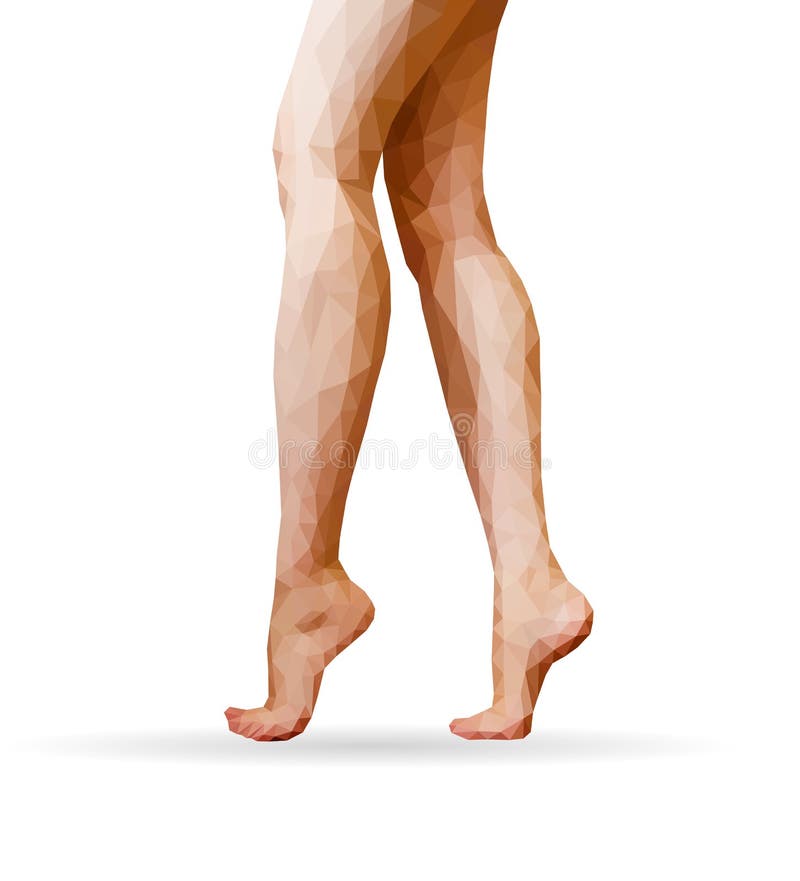 Polygonal Female Legs Standing Tiptoes Full Color Stock Illustrations ...