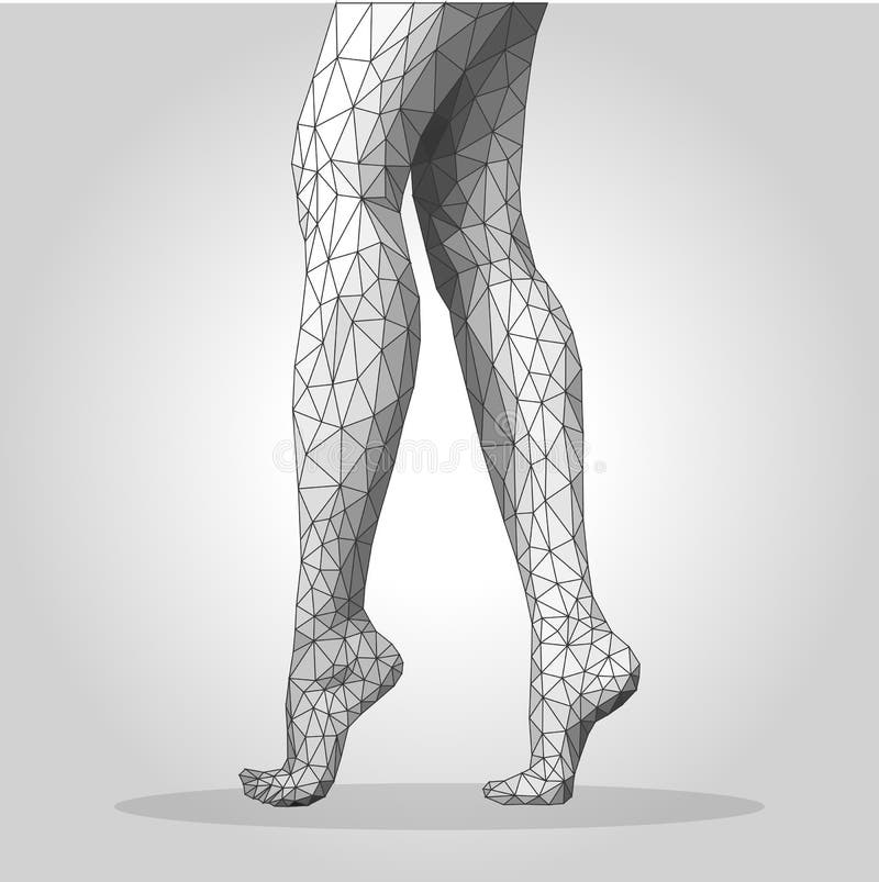 Standing Human Wireframe Stock Illustrations – 214 Standing Human ...