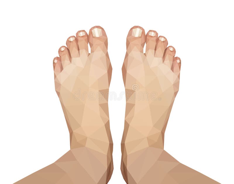 Polygonal Foot Captured Above on White Background Stock Vector ...