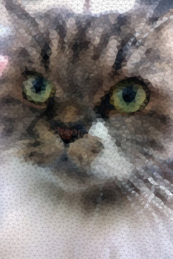 Polygonal Gray Tabby Cute Kitten, Polygonal Cat Stock Image - Image of ...