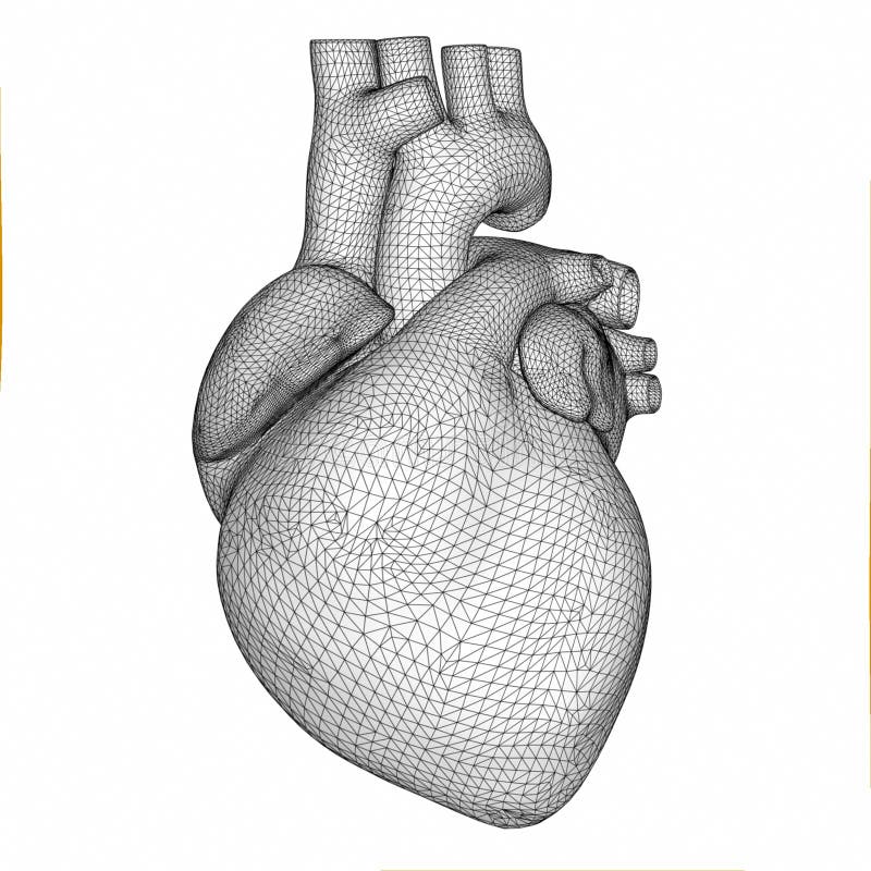 Polygonal Human Heart in Low Poly Polygon Style. Wireframe Concept ...