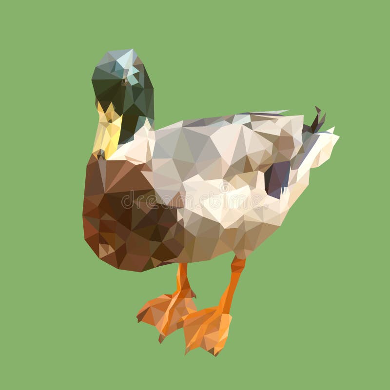 Polygonal Mallard, Geometric Polygon Wild Duck, Isolated Vector Stock ...