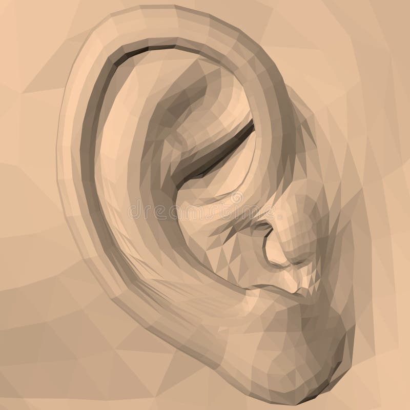 Side View Human Ear Stock Illustrations – 158 Side View Human Ear Stock ...