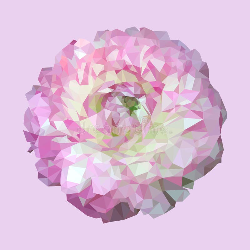 Polygonal Pink Lotus or Water Lily, Polygon Geometric Flower Stock ...