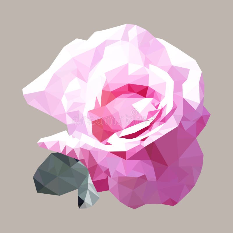 Polygonal Pink Rose. Poly Low Geometric Triangle Flower Vector Stock ...