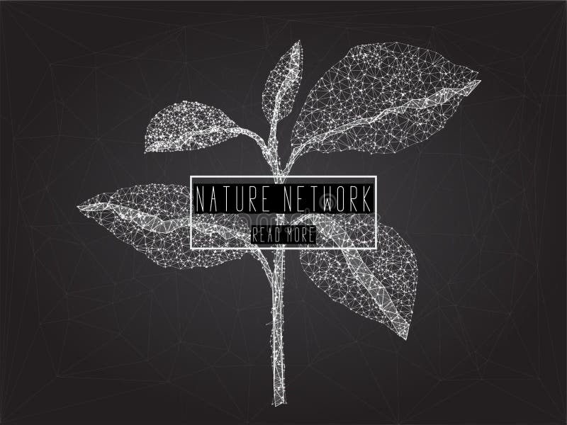 Polygonal Plant. Point and Line Composition. Global Network Connection ...