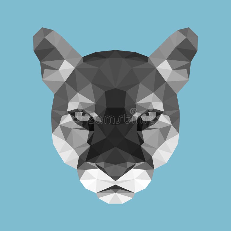 Polygonal puma head stock vector. Illustration of animal - 156454854