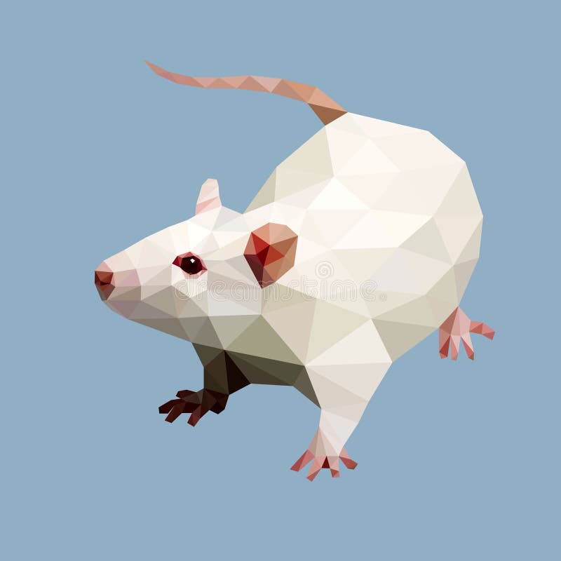 Polygonal white rat stock vector. Illustration of greeting - 156454857