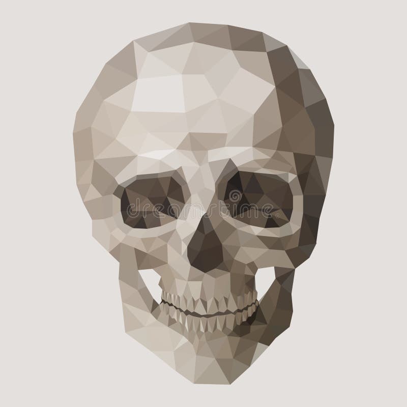 Polygonal skull. stock illustration. Illustration of creative - 34751378