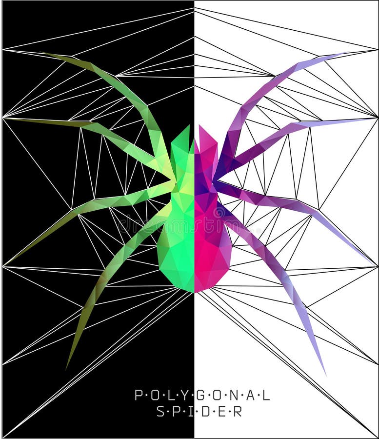 Polygonal Spider. Geometric Illustration Stock Vector - Illustration of ...