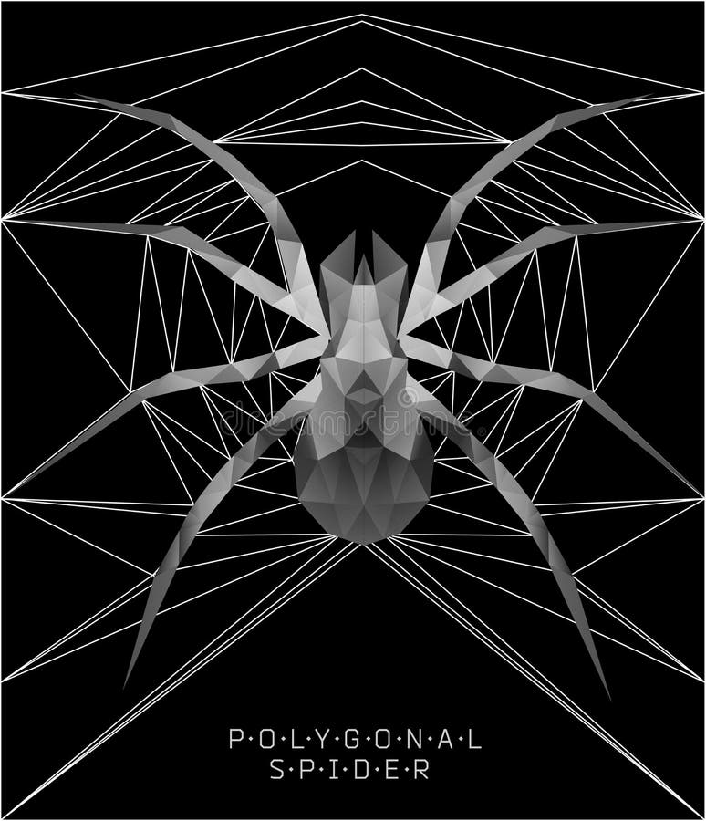 Polygonal Spider. Geometric Illustration Stock Vector - Illustration of ...