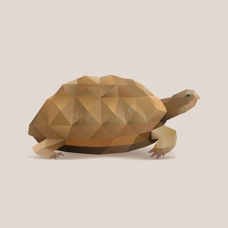Polygonal Turtle Stock Illustrations – 1,049 Polygonal Turtle Stock ...