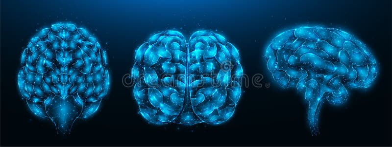 Polygonal Vector Illustration of a Human Brain on a Dark Blue ...