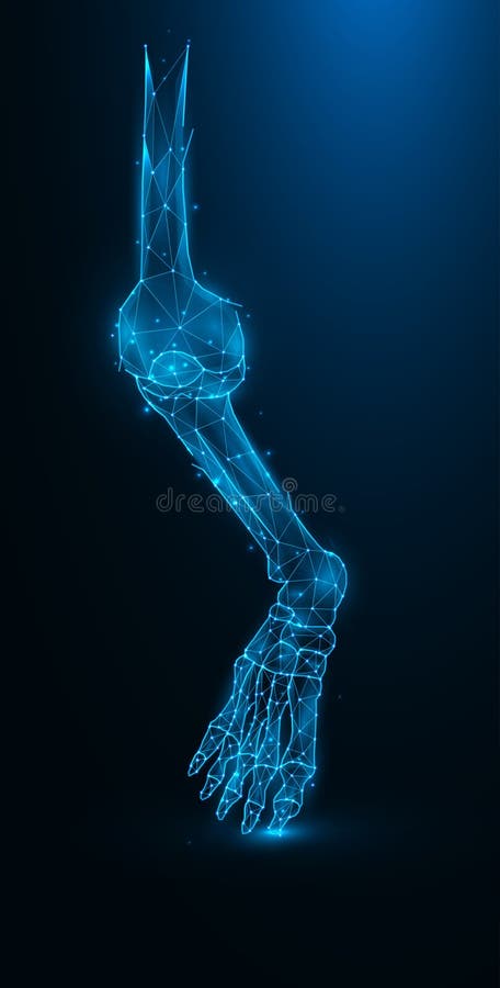 Polygonal Vector Illustration of Leg Bones on a Dark Blue Background ...