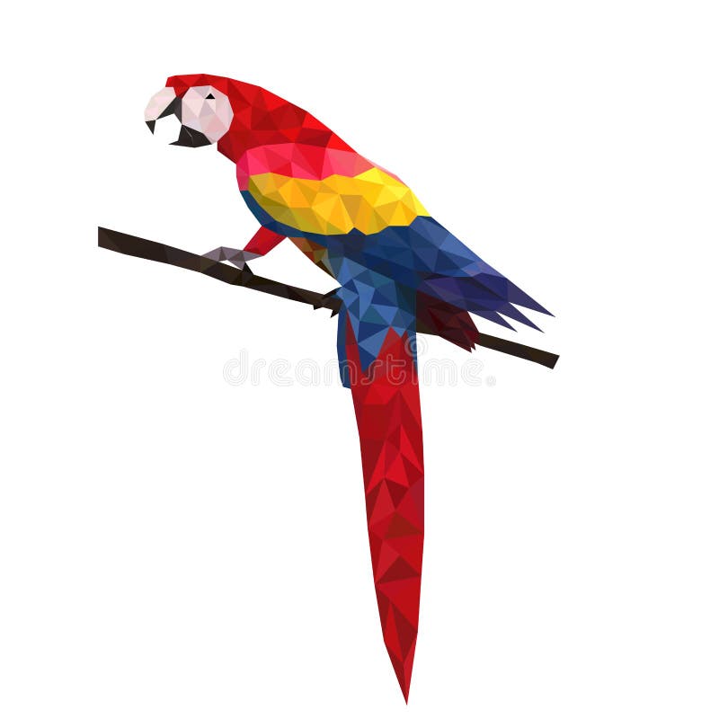 Polygonal wild red parrot stock vector. Illustration of polygon - 154703372