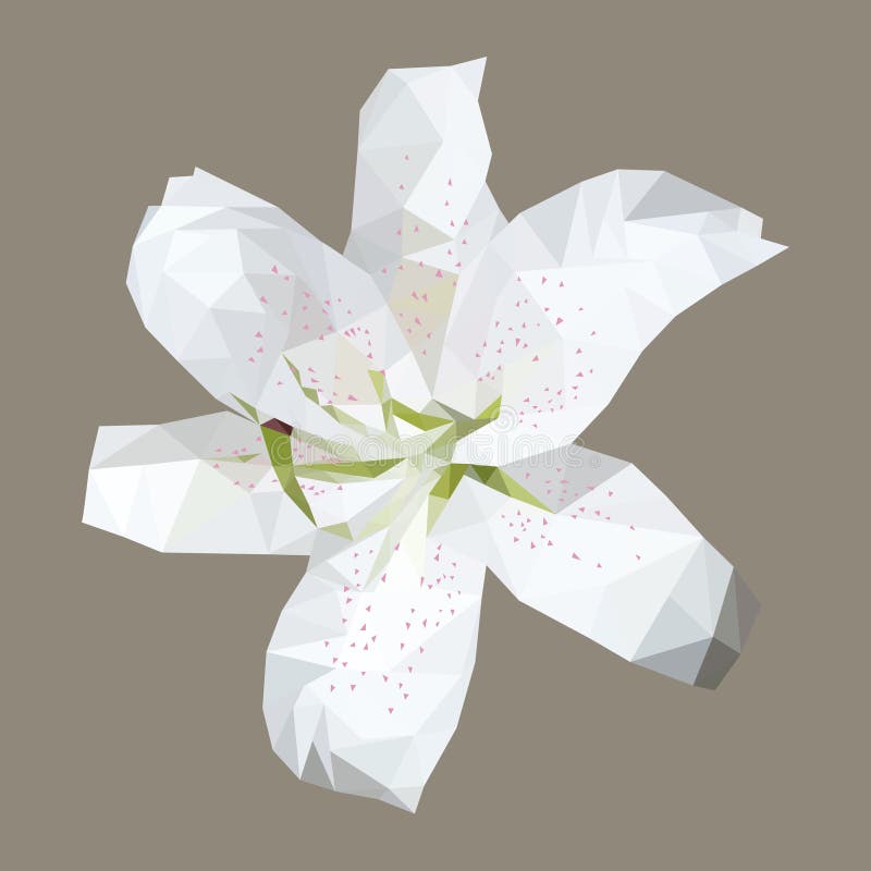 Polygonal White Rose, Polygon Geometric Flower, Isolated Vector Stock ...