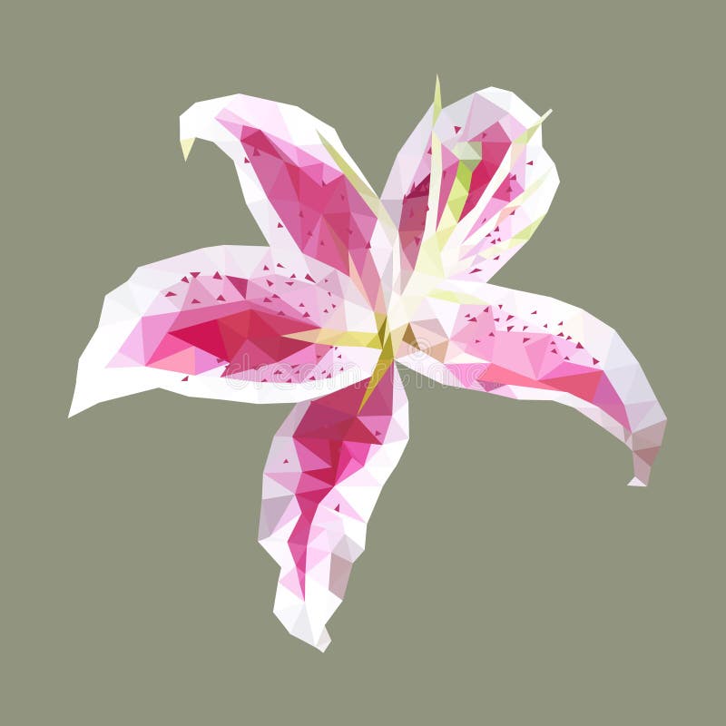 Polygonal White and Pink Lily, Polygon Geometric Flower Stock Vector ...