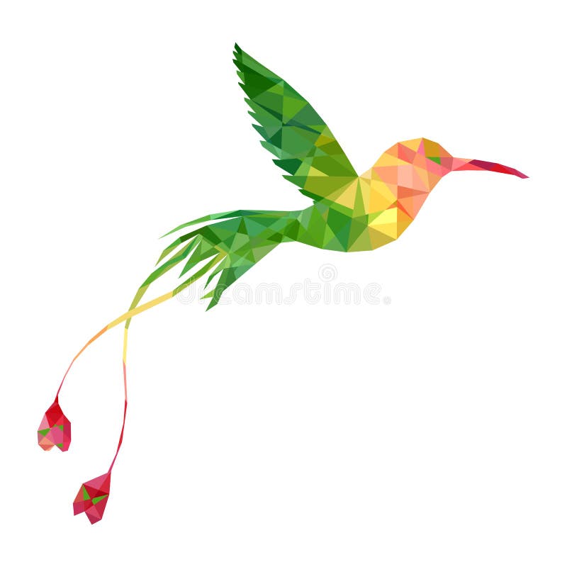 Polygonales Geometrisches Colibri Vektor Abbildung - Illustration von ...