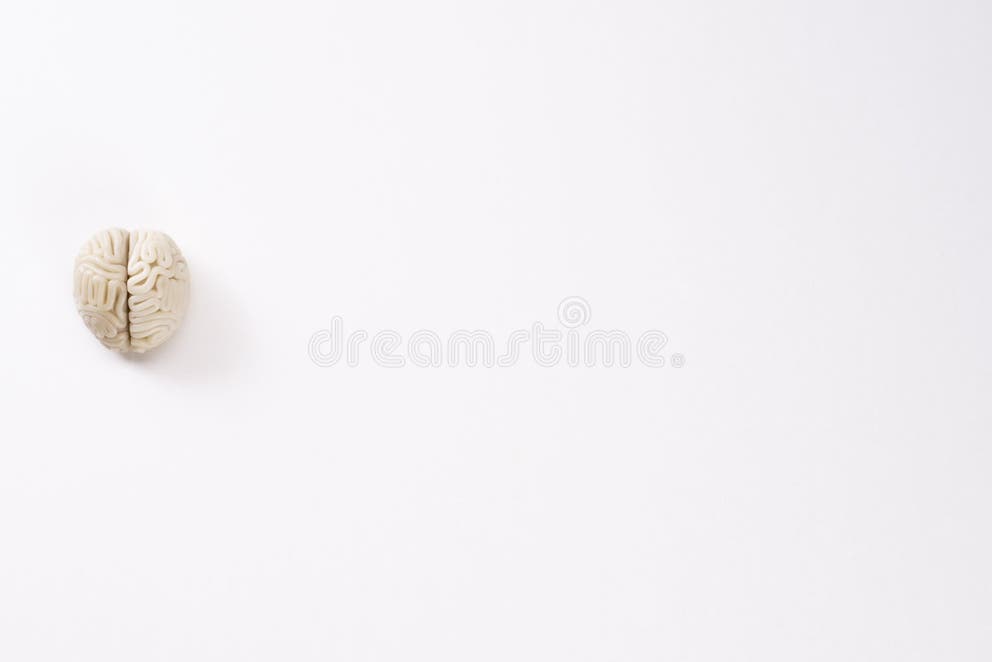 Polymer Clay Brain, Top View, Isolated on a White Background, Place for ...